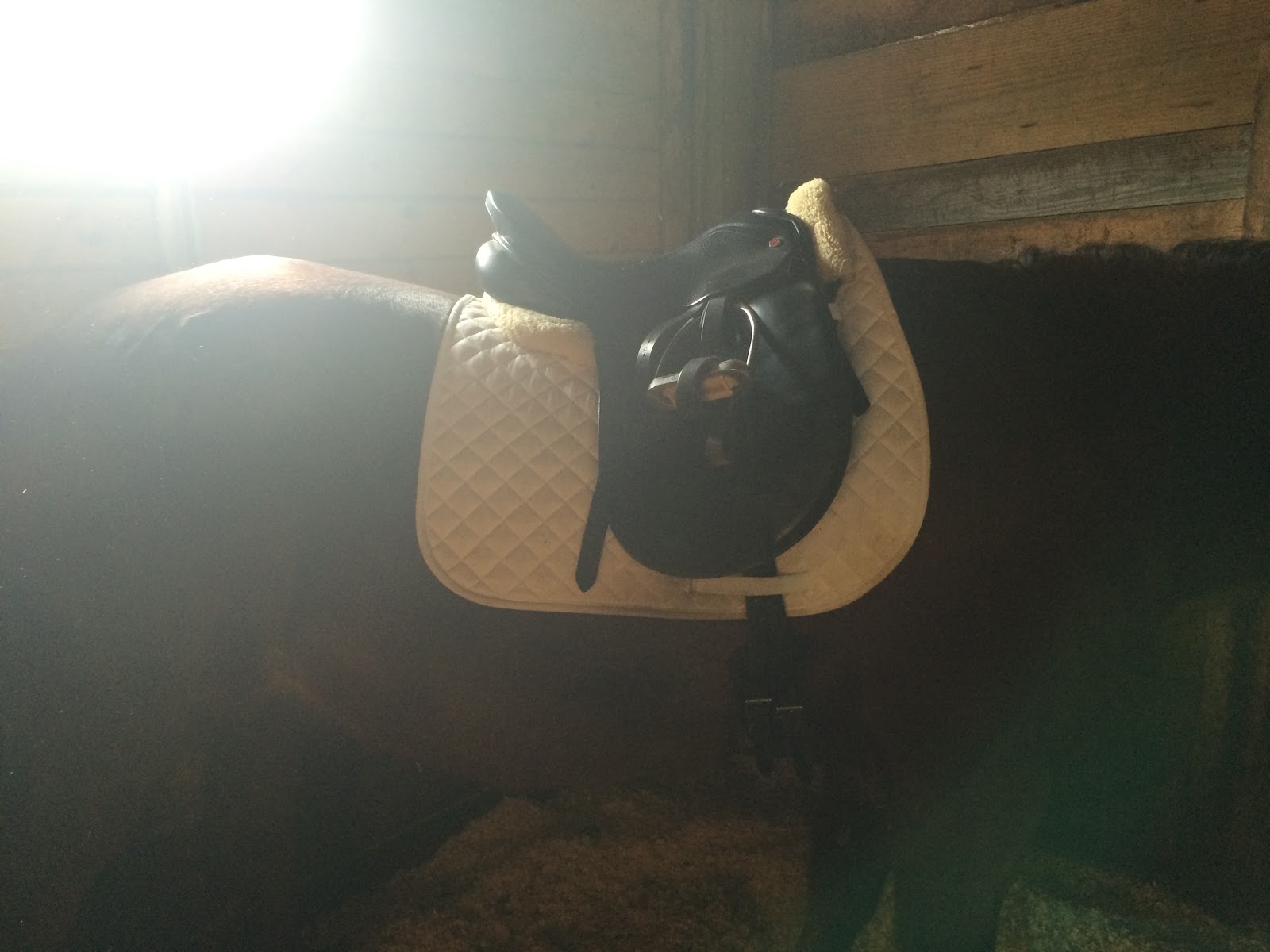 What’s your saddle fitting philosophy?